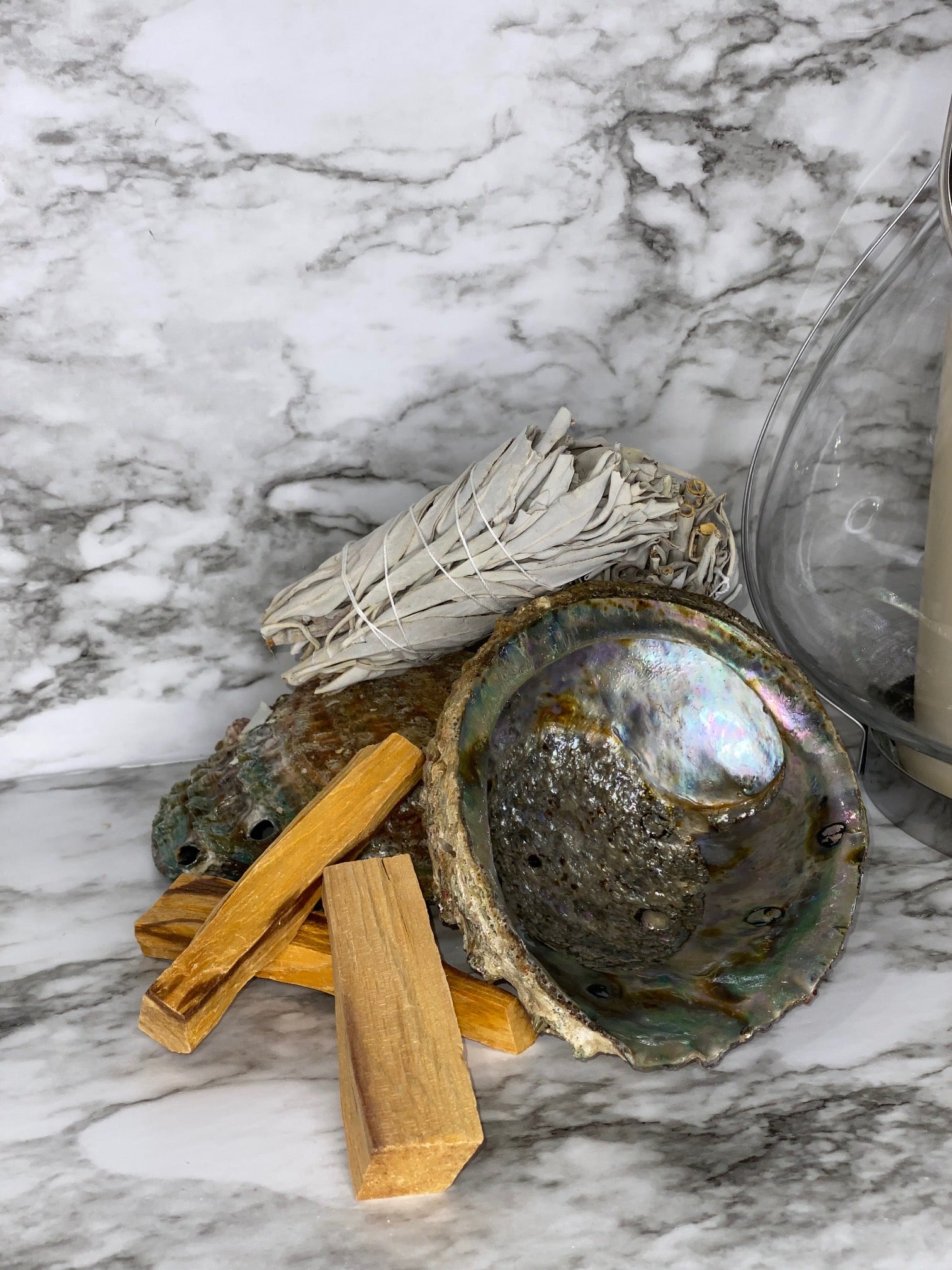 Jumbo Abalone Shell – The Frequency Box